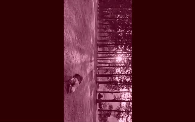 【AC影音伴奏】★空空 陈粒 伴奏 原版伴奏 WAV伴奏 和声版+纯净版