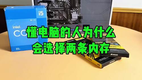 懂电脑的人,组装电脑时为什么会选择两条内存?