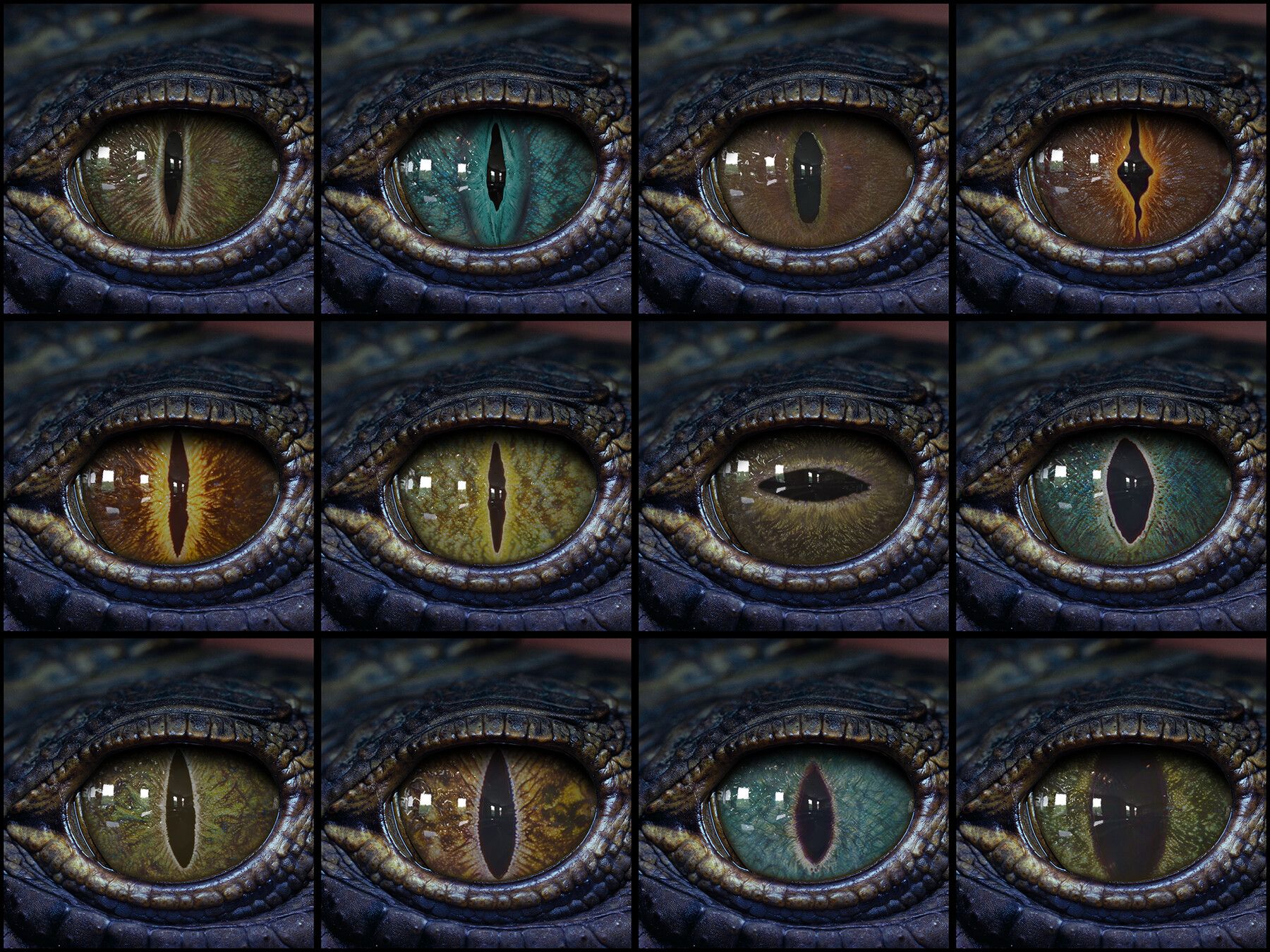 blender生物爬行动物怪物鳄鱼恐龙眼睛眼球c4d虹膜纹理贴图maya