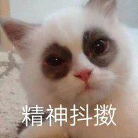 一颗蛋老师 