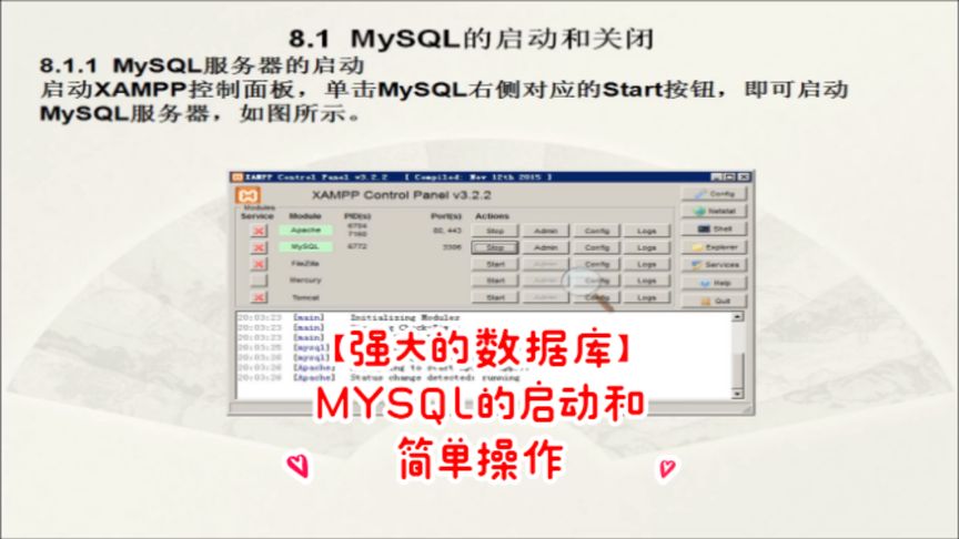 PHP入门教程-MYSQL的启动和简单操作-第8单元-1 #php #php程序