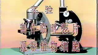 初中生物实验--制作装片 观察植物细胞