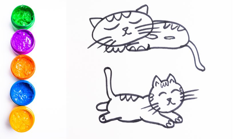 简笔画猫画法和彩色