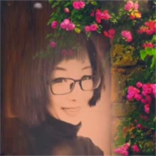 张张新视野