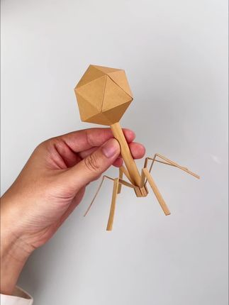 教你折一个噬菌体模型,简直太酷了#手工diy #折纸 #噬菌体