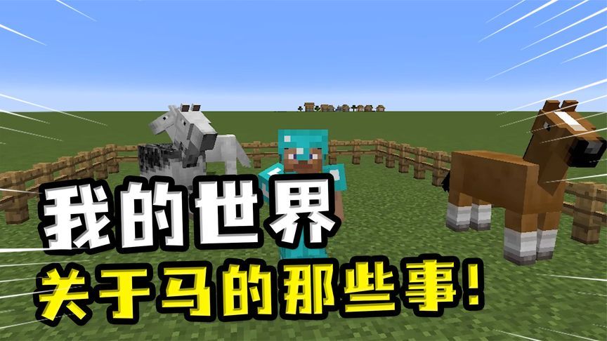 ...我的世界:关于马的那些事,驯服