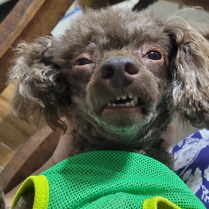 上善若水jeff 