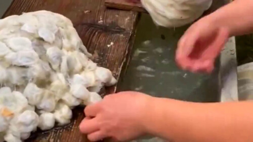 不愧是纯手工制作的蚕丝,小小一团,一撕开就变这么大!