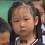 胖猫吃肉不吃鱼 