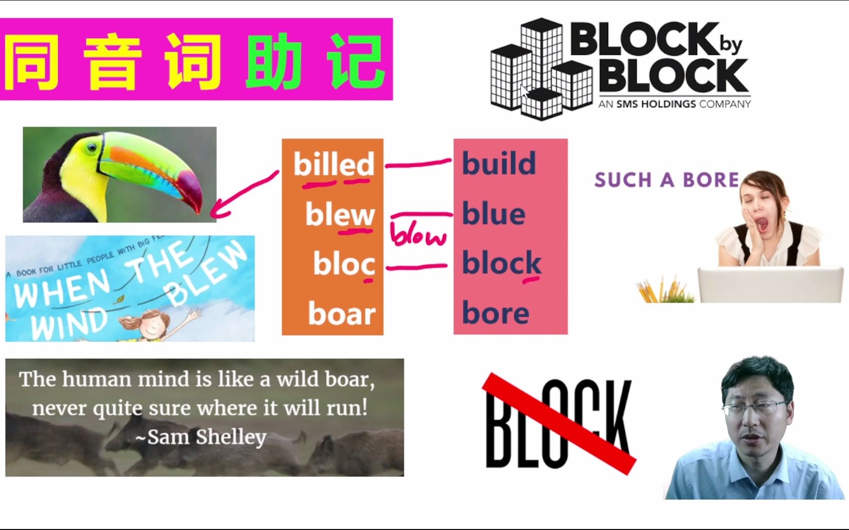 同音单词bloc/block,boar/bore等助学英语