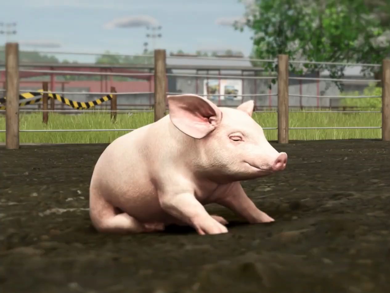 ߐ� 农场模拟游戏《Farming Simulator 25 ߚ� 模拟农场 25》六大...