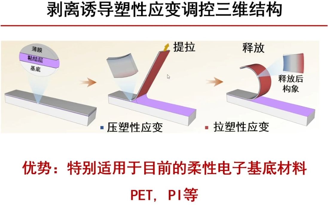 20230714-中国科学院理化技术研究所张飞龙-仿生智能粘附与驱动材料
