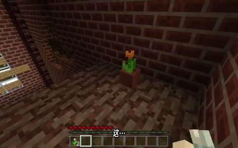 1-粉丝从暗网下载我的世界,玩过的人都崩溃了!-480P 清晰-AVC