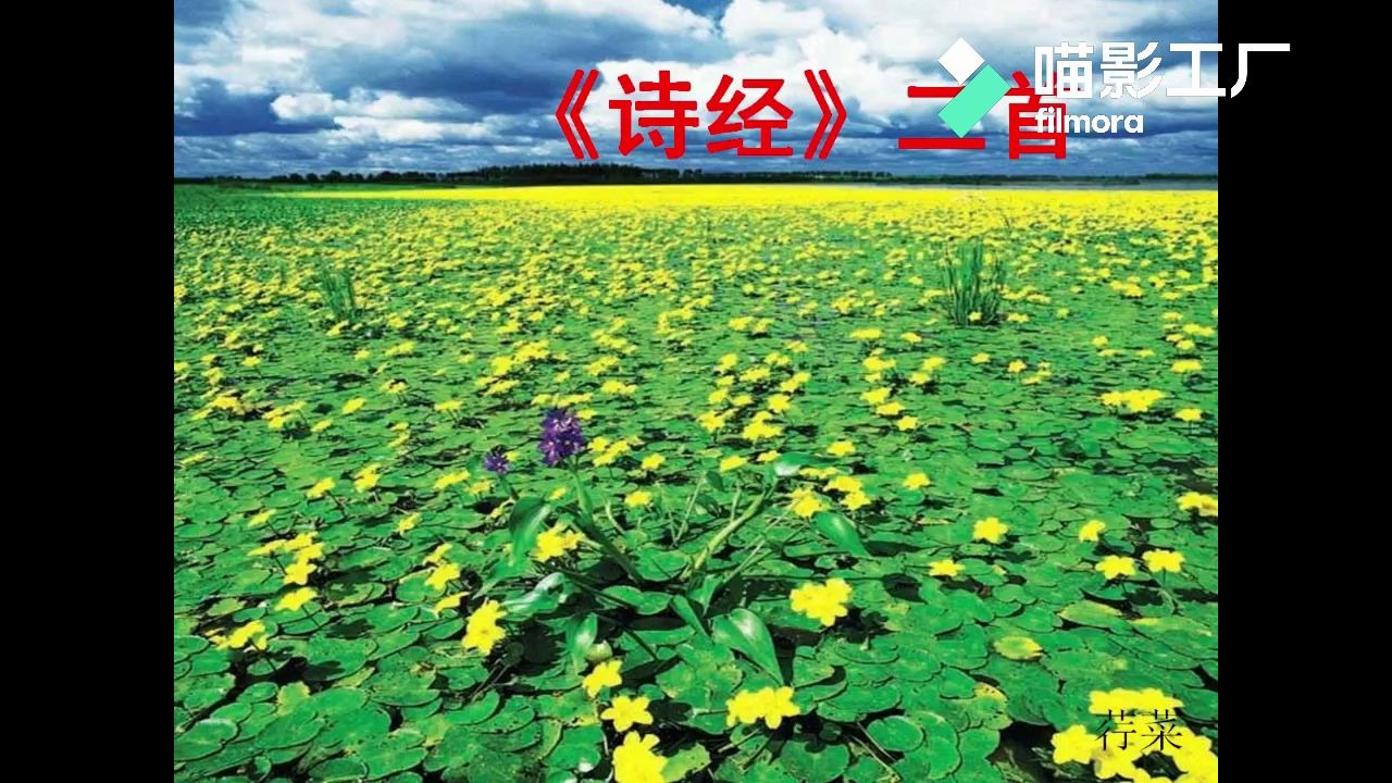 《诗经》二首