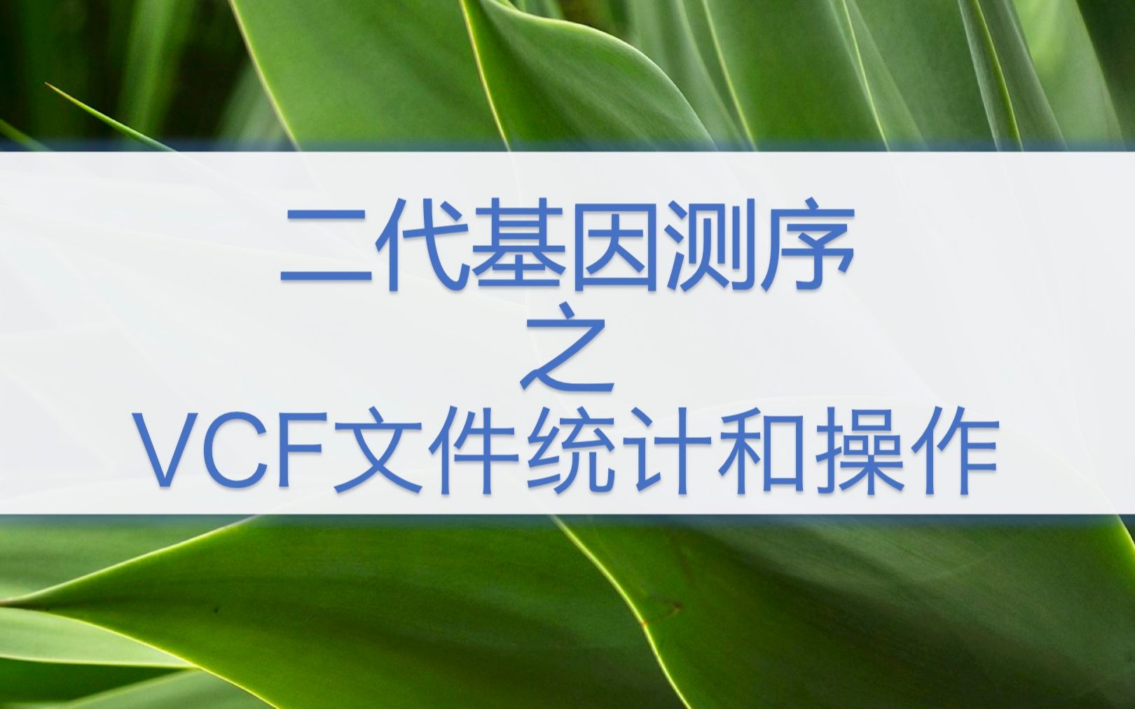 二代基因测序之VCF文件统计和操作