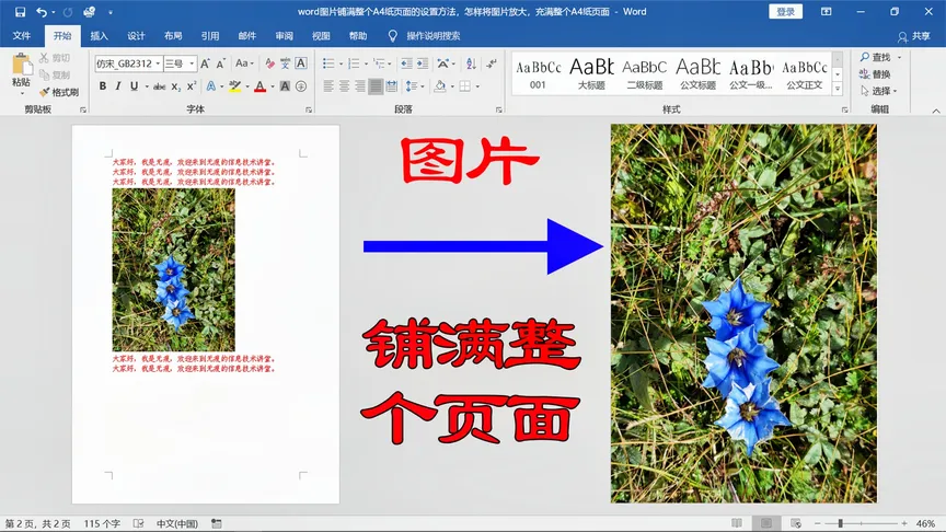 word文档图片铺满整个页面的设置方法,怎样将图片放大充满A4纸