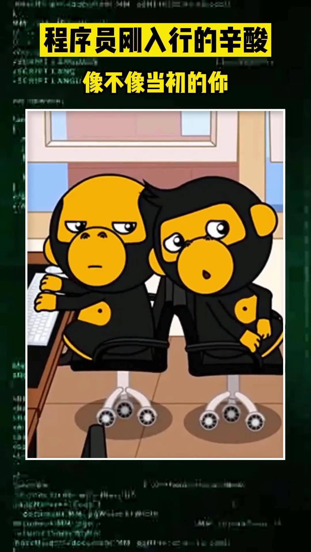 单元测试习惯好,代码质量高,bug无处遁形