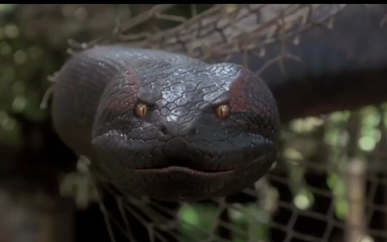 【虎扑最榜】动物灾难电影十大恐怖猛兽