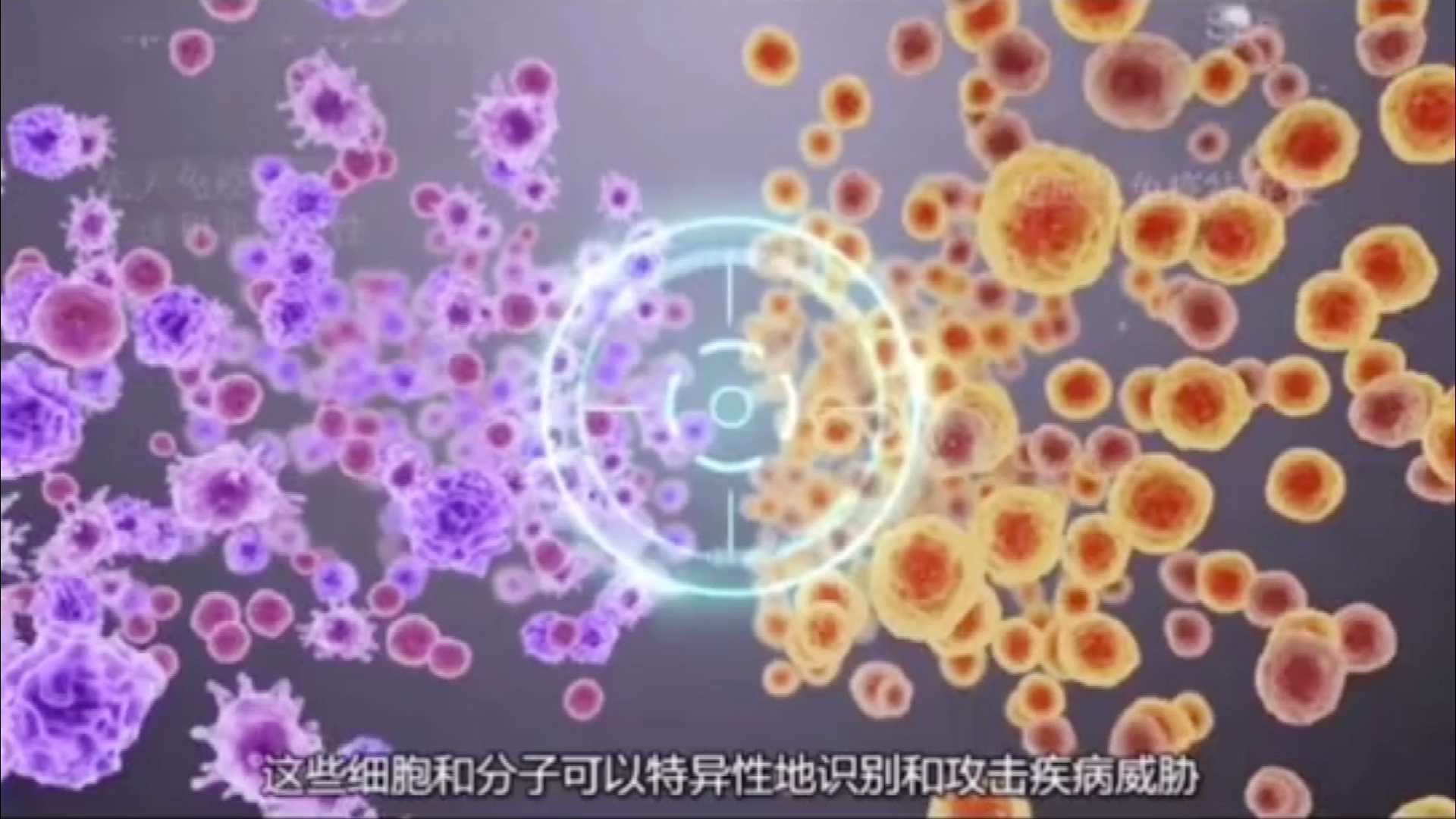 神奇的免疫系统,可是却清除不了癌细胞