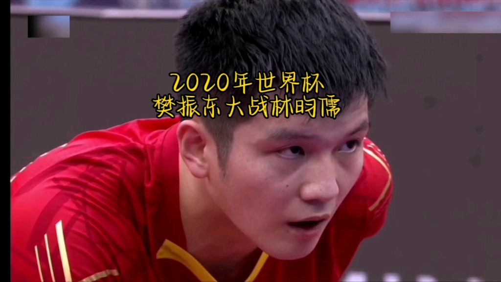2020年世界杯,樊振东大战林昀儒