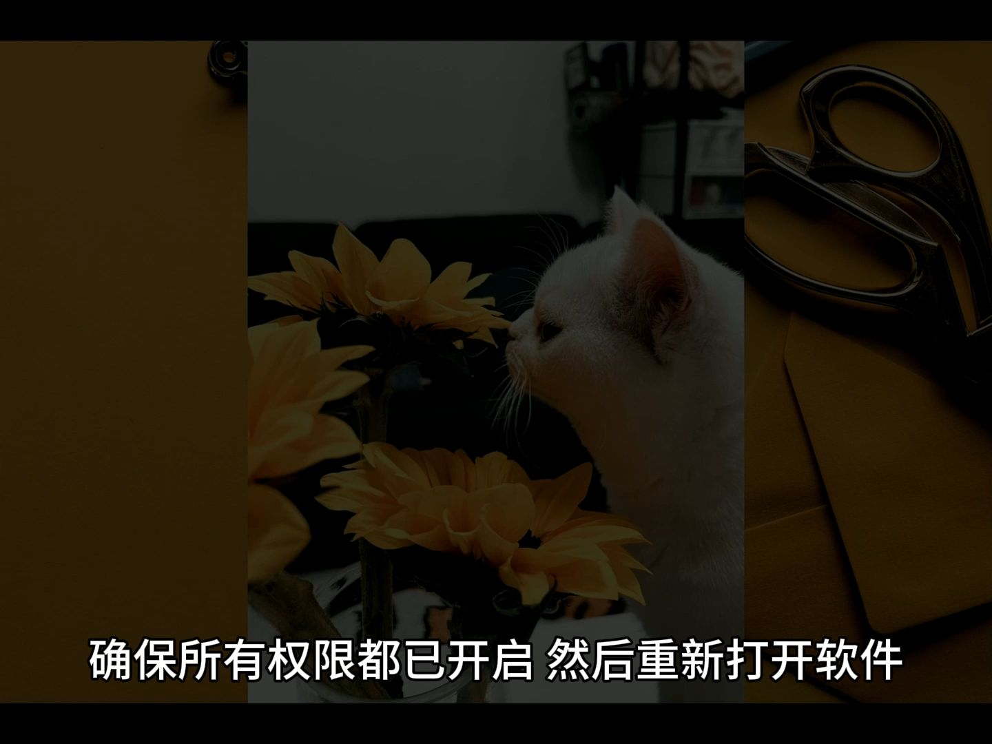 qq如何恢复闪照照片?看过的闪照怎么找出来?