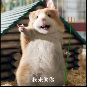 鼠鼠鼠兔 
