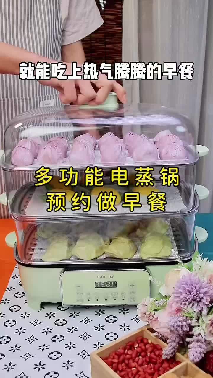 多功能智能电蒸锅 #智能电蒸锅 多功能,能预约,能保温,能定时,能防干烧