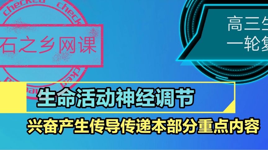 神经调节兴奋产生传导传递
