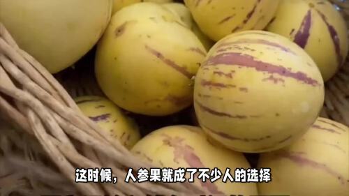 人参果是上火还是去火?这样吃才对身体好!