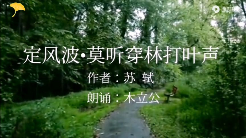 《定风波•莫听穿林打叶声》作者苏轼 朗诵:木立公