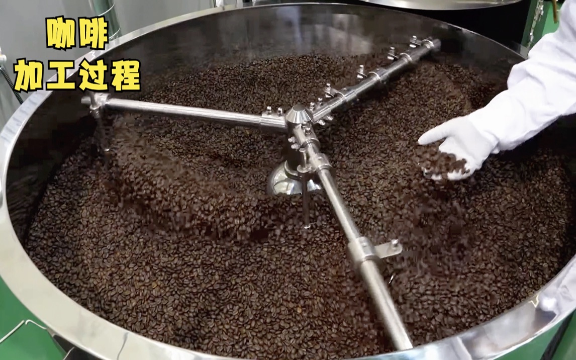 原来我们日常喝的咖啡,是这样加工的!看完涨知识了