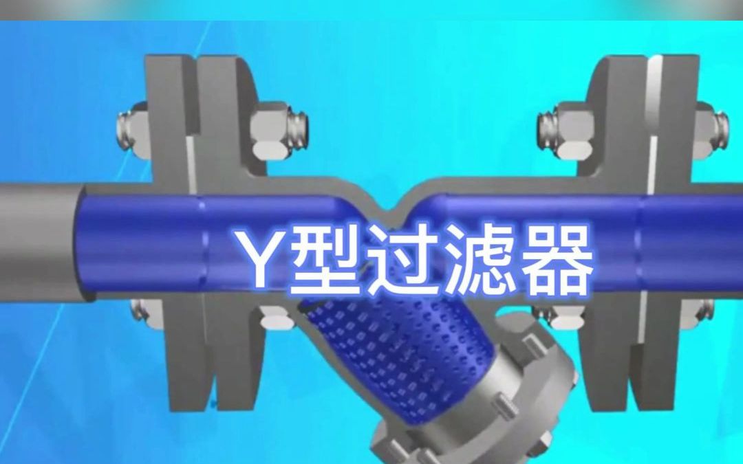 Y型过滤器欣赏