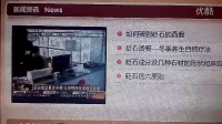 VID_中央2套对泗滨砭石的报道
