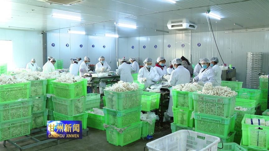 张掖农商银行为我区企业发放产业扶贫贷款达1.81亿元