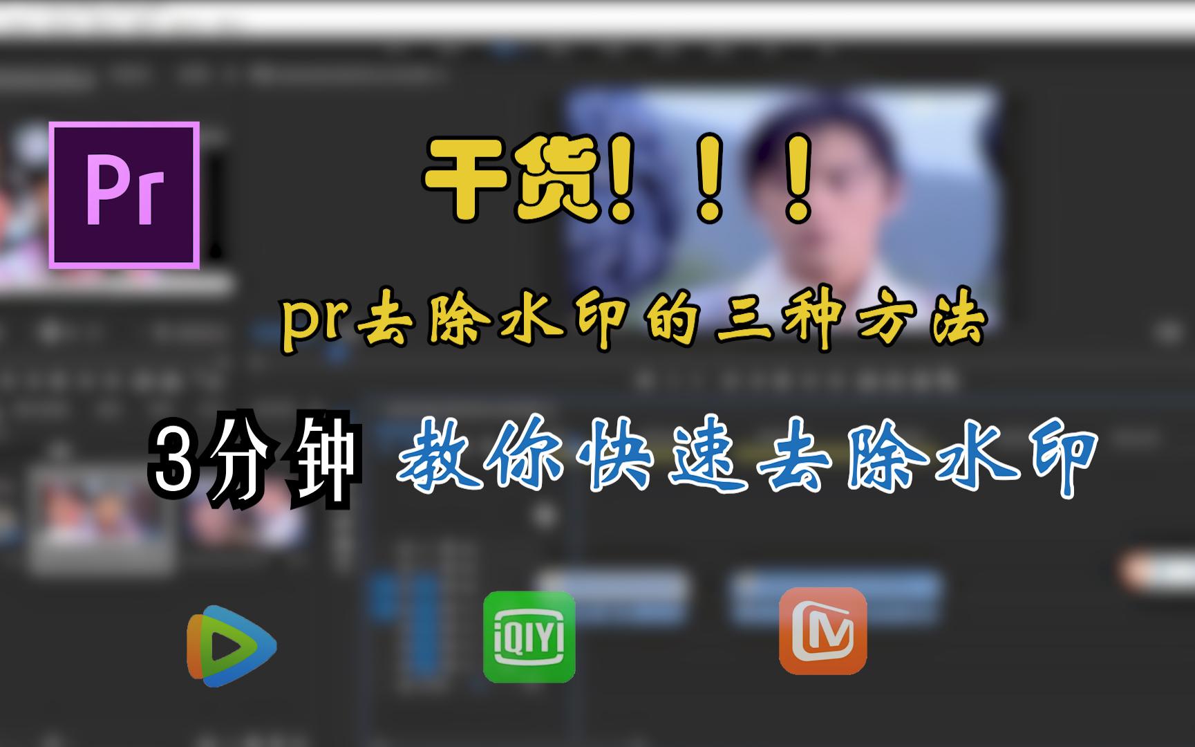 【pr教程】三种方法快速去掉视频里的水印,2分钟学会!