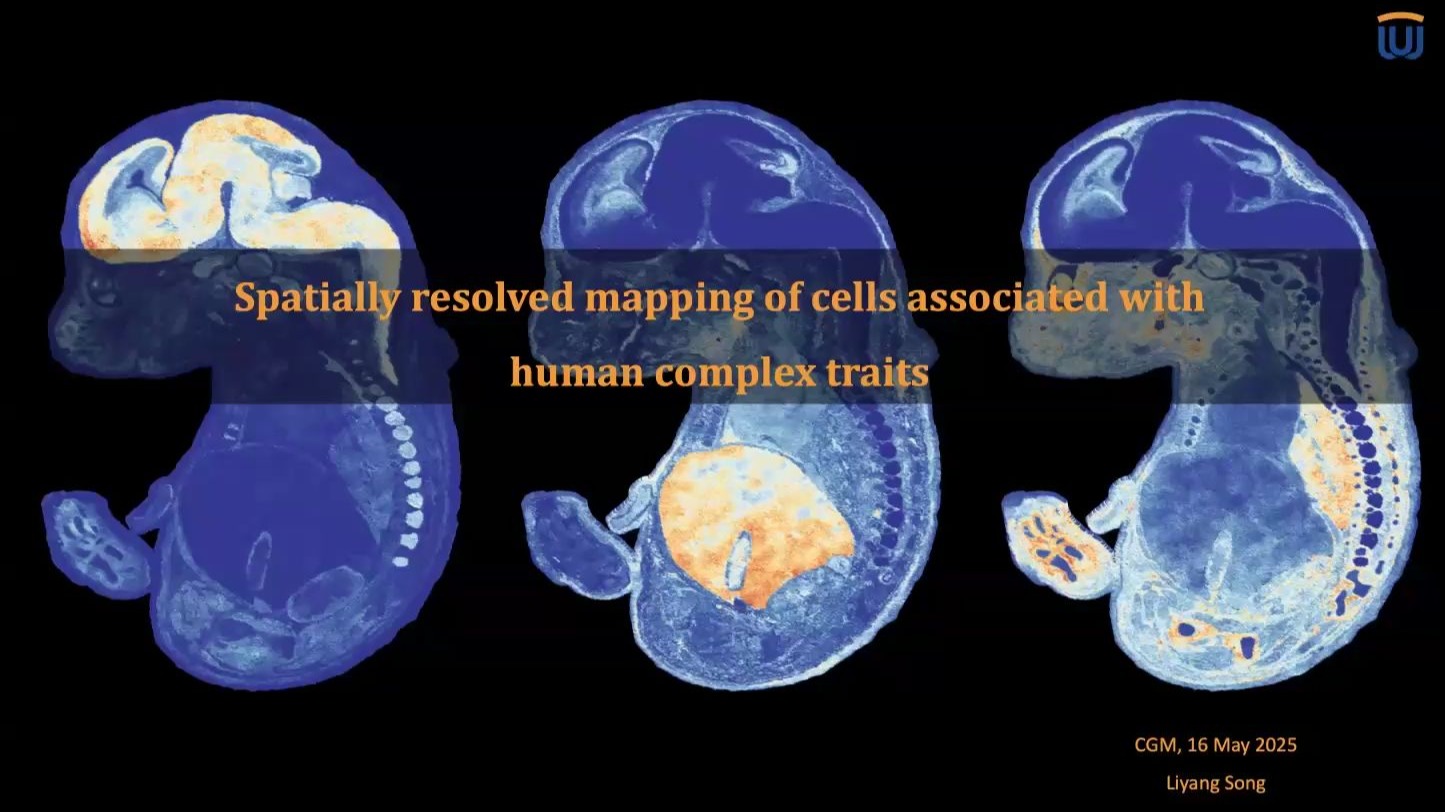 CGM第495期:整合空间转录组与GWAS数据绘制人复杂性状细胞空间...