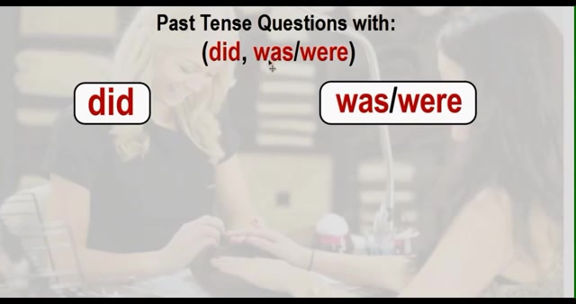 Did, Was or Were Past Tense Questions