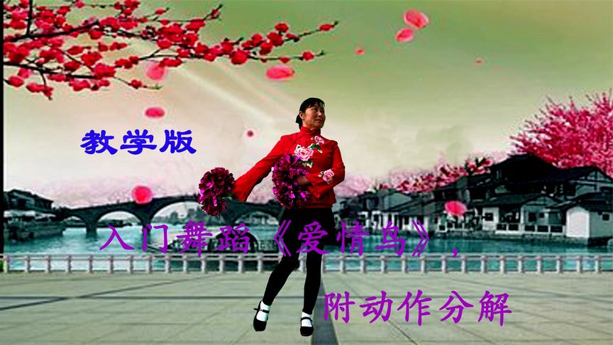 入门舞蹈,附动作分解,教学版
