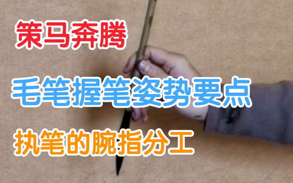 【毛笔执笔】毛笔握笔姿势要点讲解,执笔的腕指分工。