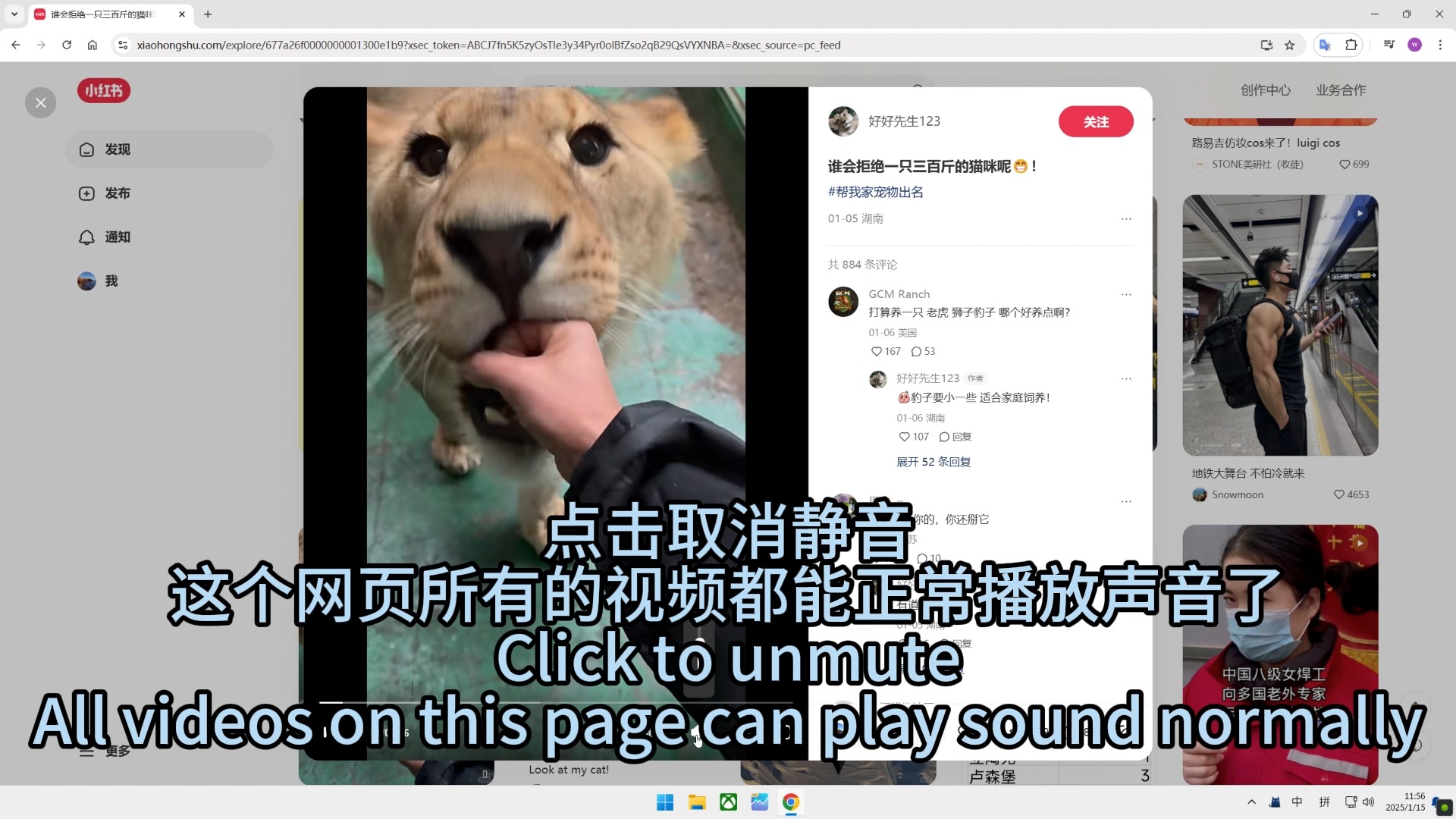 浏览器网页音频默认自动静音,使其自动播放声音的解决方法 以小红书...