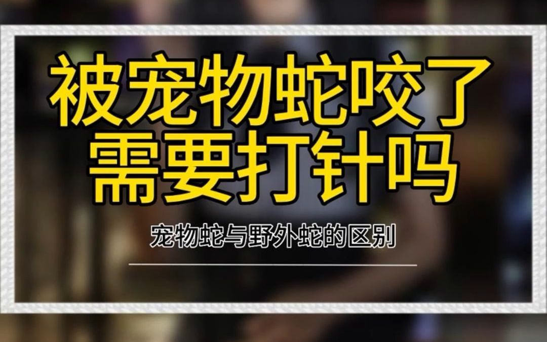 被宠物蛇咬了怎么办,需要打针吗?