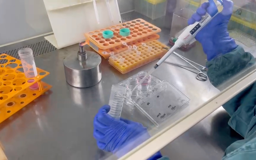 科研必备—CCK8(细胞清洗+消化)