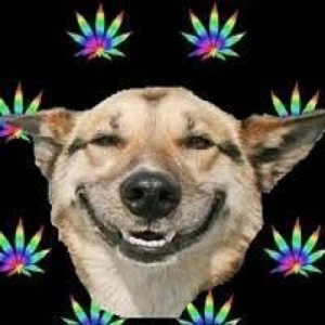 大大大大大大大河 