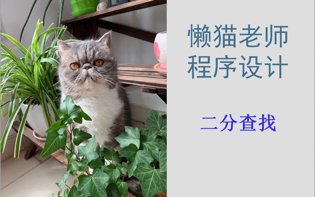 懒猫老师-C语言-二分查找(折半查找)