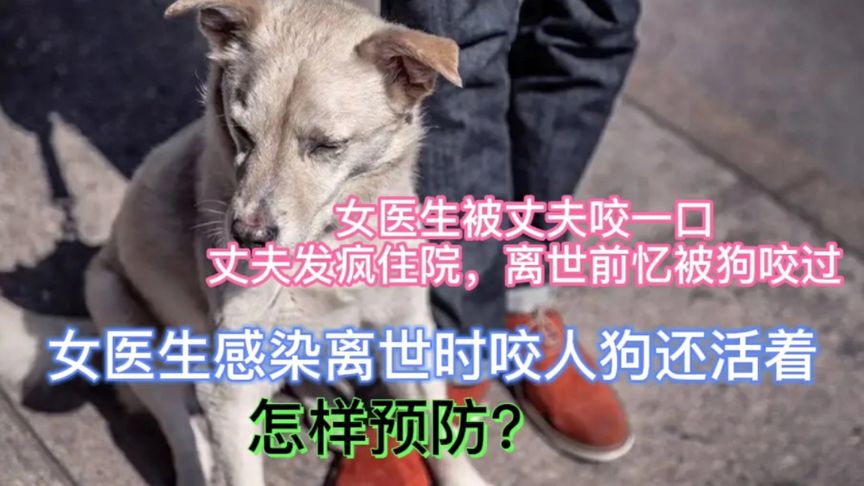 被狗咬后怒咬爱妻医生后离世,女医生感染离世时咬夫狗还存活