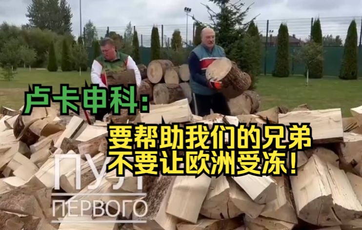 白俄罗斯总统劈柴时不忘担忧欧洲人过冬