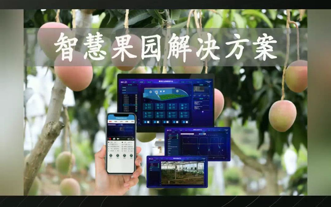 农业物联网方案 打造智慧果园