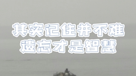 其实记住并不难,遗忘才是智慧。