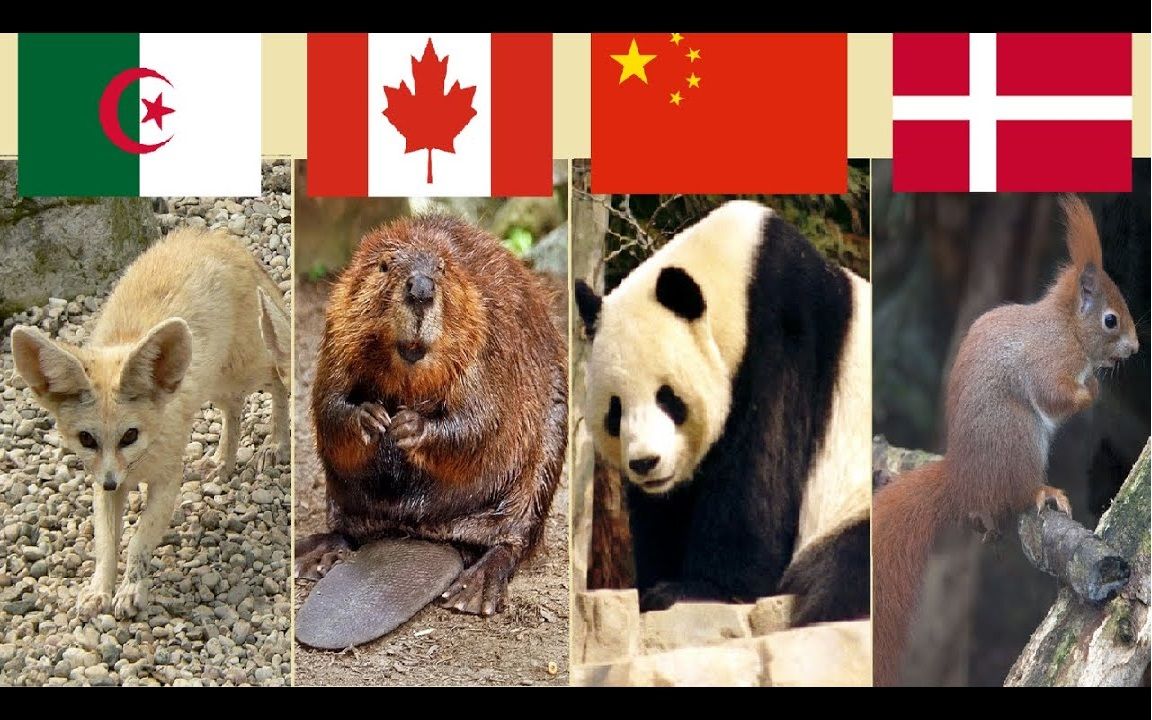 世界各国的国兽