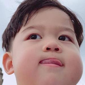 TaiHang总 
